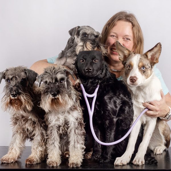 Om dyreklinikken i Nittedal | Aktiv Dyreklinikk